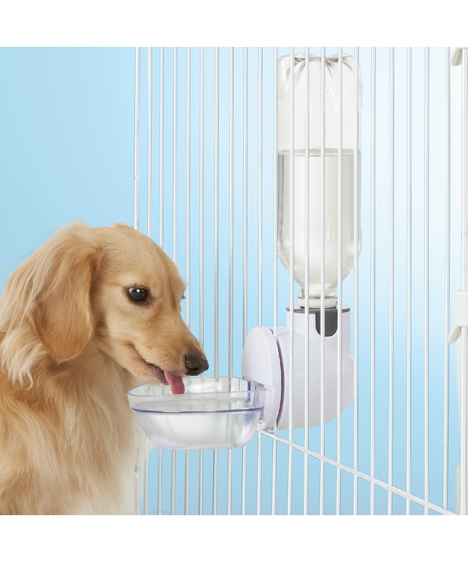 ジェックス(GEX) 給水器 ピュアクリスタル ドリンクディッシュD LP-017 【ご自宅配送限定】‥ | スポーツ用品ならヒマラヤオンラインストア【公式】