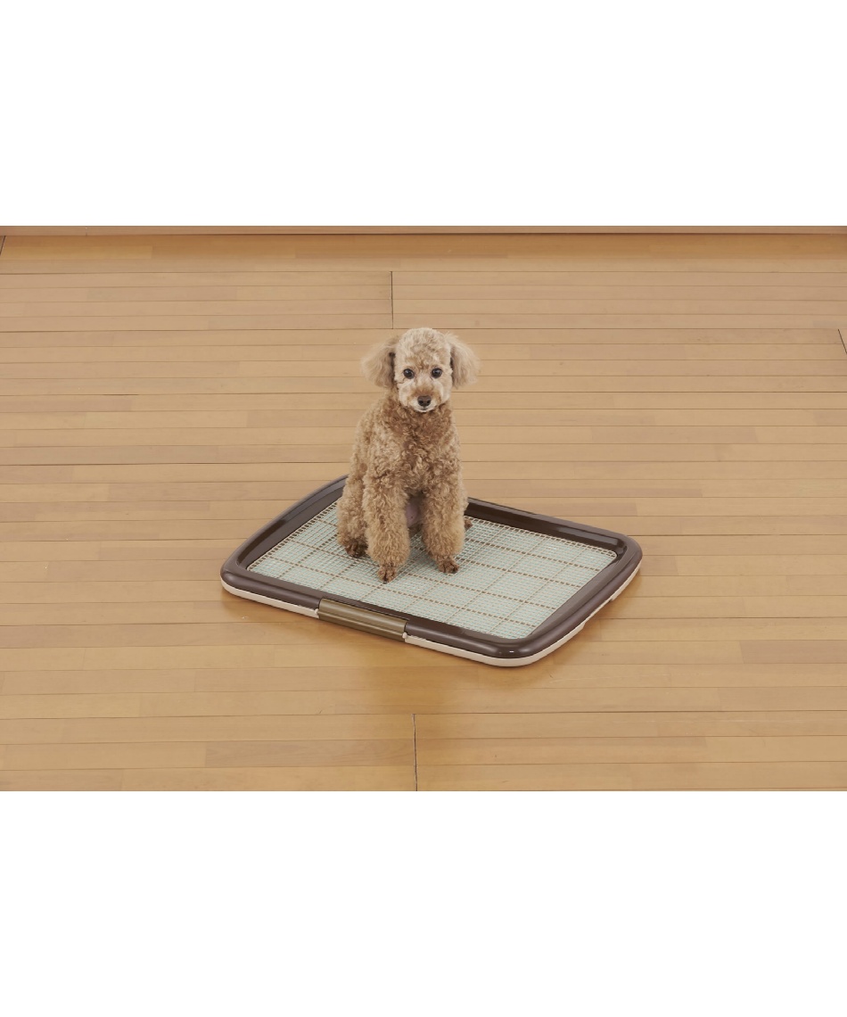 ボンビアルコン(bonbi) 動物用アクセサリー しつけるトレーメッシュプラスM LP-369 【ご自宅配送限定】 | スポーツ用品ならヒマラヤオンラインストア【公式】