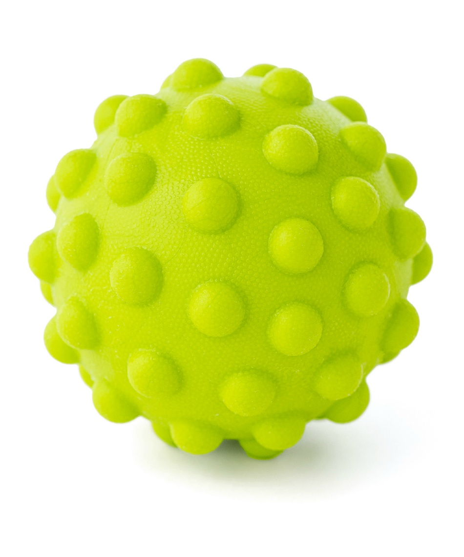 エルガム(erugam) エクササイズ用ポール コリ爆弾 SOFT 54190 | スポーツ用品ならヒマラヤオンラインストア【公式】