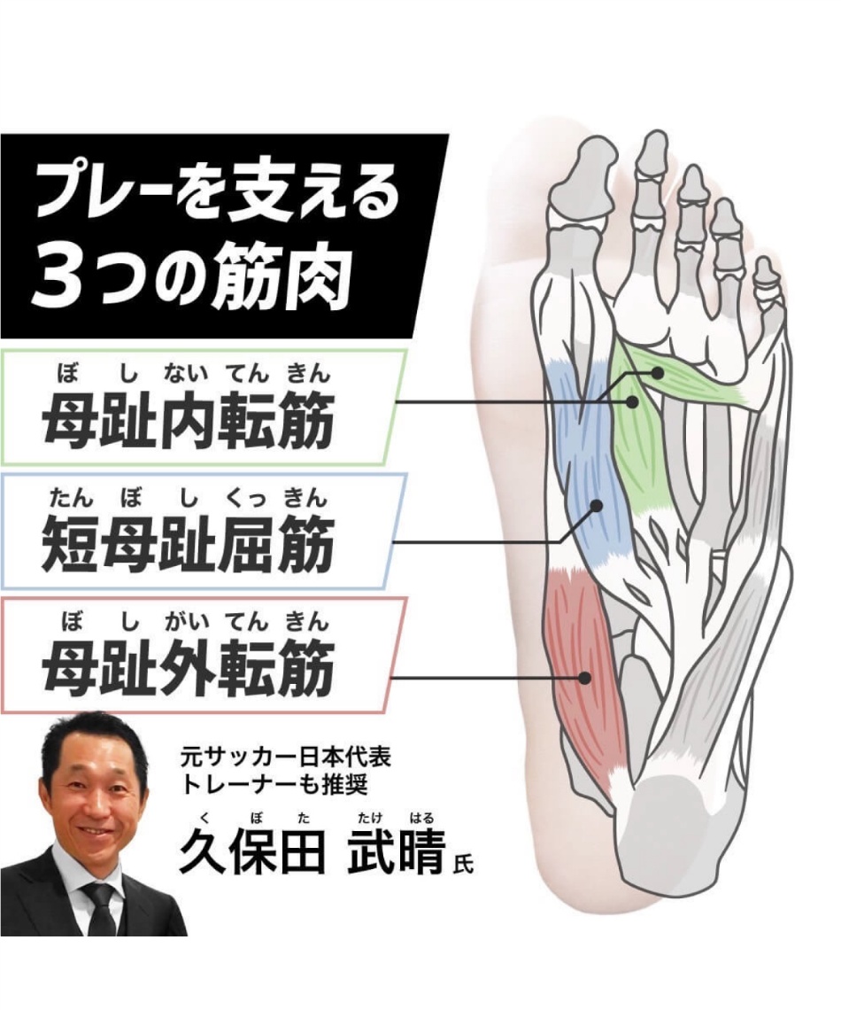 アクティバイタル(Activital) サッカーストッキング アクティバイタル PRO5 S-M HRD1065 BU | スポーツ用品ならヒマラヤオンラインストア【公式】