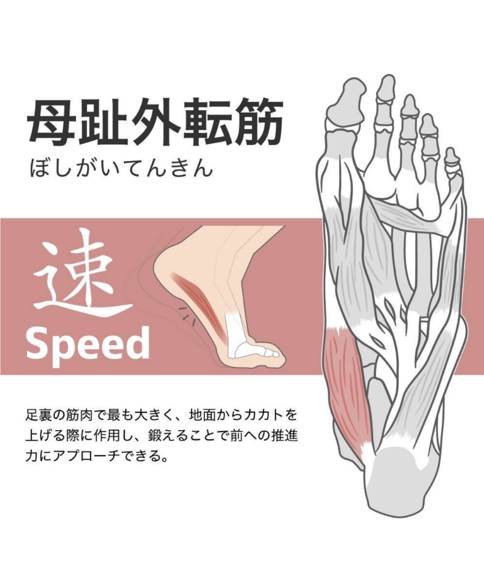 アクティバイタル(Activital) サッカーストッキング アクティバイタル PRO5 S-M HRD1065 BU | スポーツ用品ならヒマラヤオンラインストア【公式】