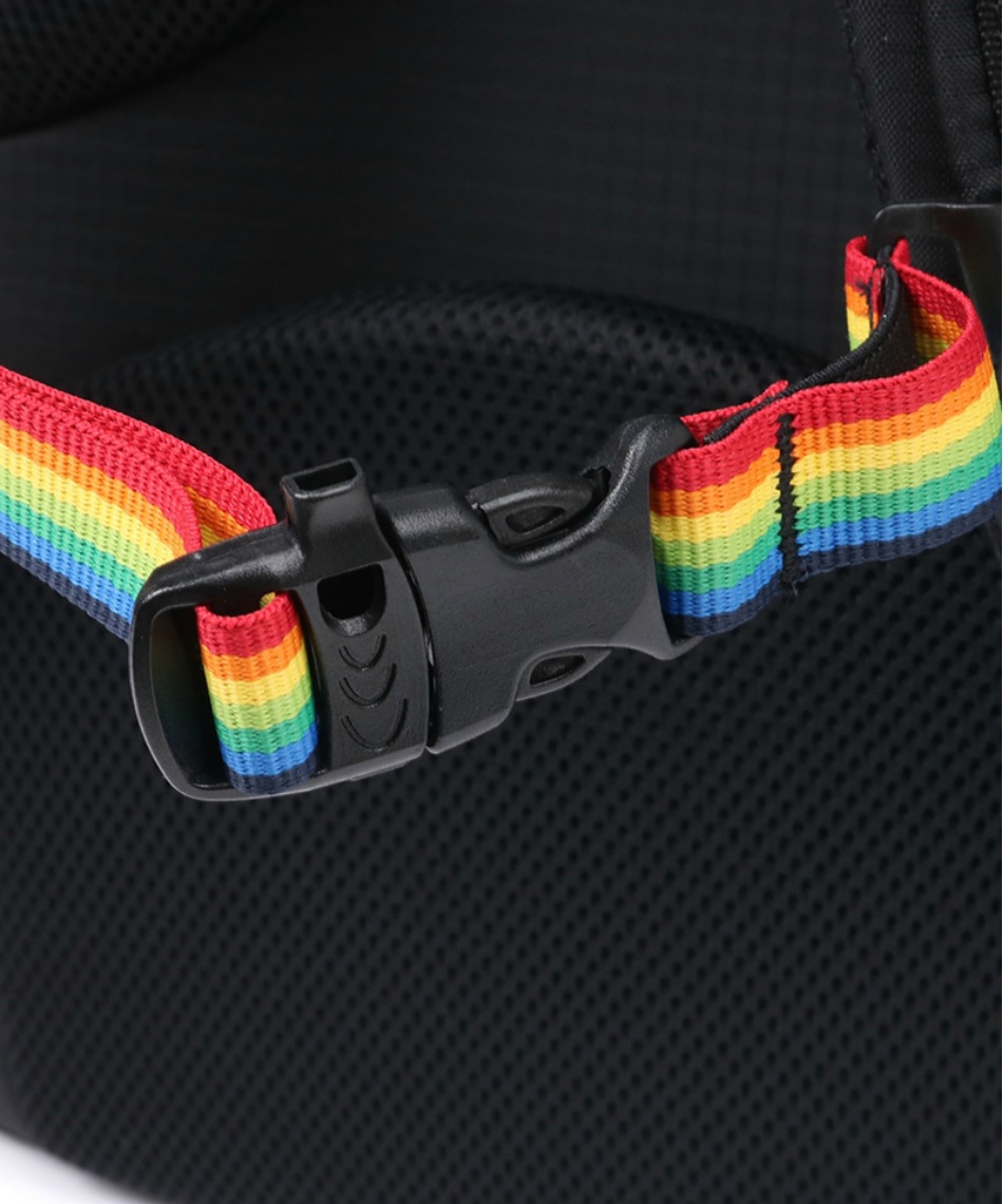 バックパック スプリングデール20 CH60-3749 BLACK/RAINBOW | スポーツ