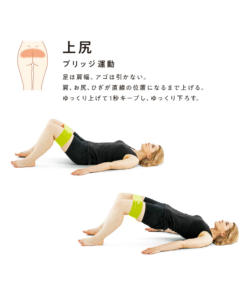 エルガム(erugam) トレーニングチューブ 下半身ひきしめ 54183 | スポーツ用品ならヒマラヤオンラインストア【公式】