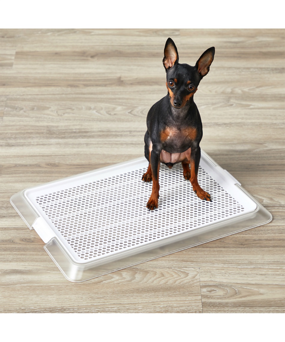 ボンビアルコン(bonbi) 動物用アクセサリー ペットレー クリアメッシュ S LP-371 【ご自宅配送限定】 | スポーツ用品ならヒマラヤオンラインストア【公式】