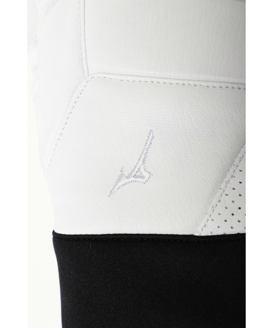 ミズノ(MIZUNO) スキーグローブ LEATHER 3F GLOVES レザー グローブ Z2JYC502 | スポーツ用品ならヒマラヤ ...