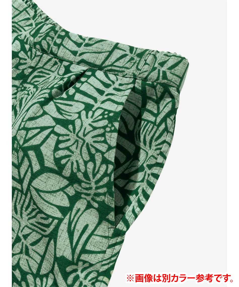 ザ・ノース・フェイス(THE NORTH FACE) ショートパンツ アロハベントショーツ Aloha Vent Short NBW42330 ...