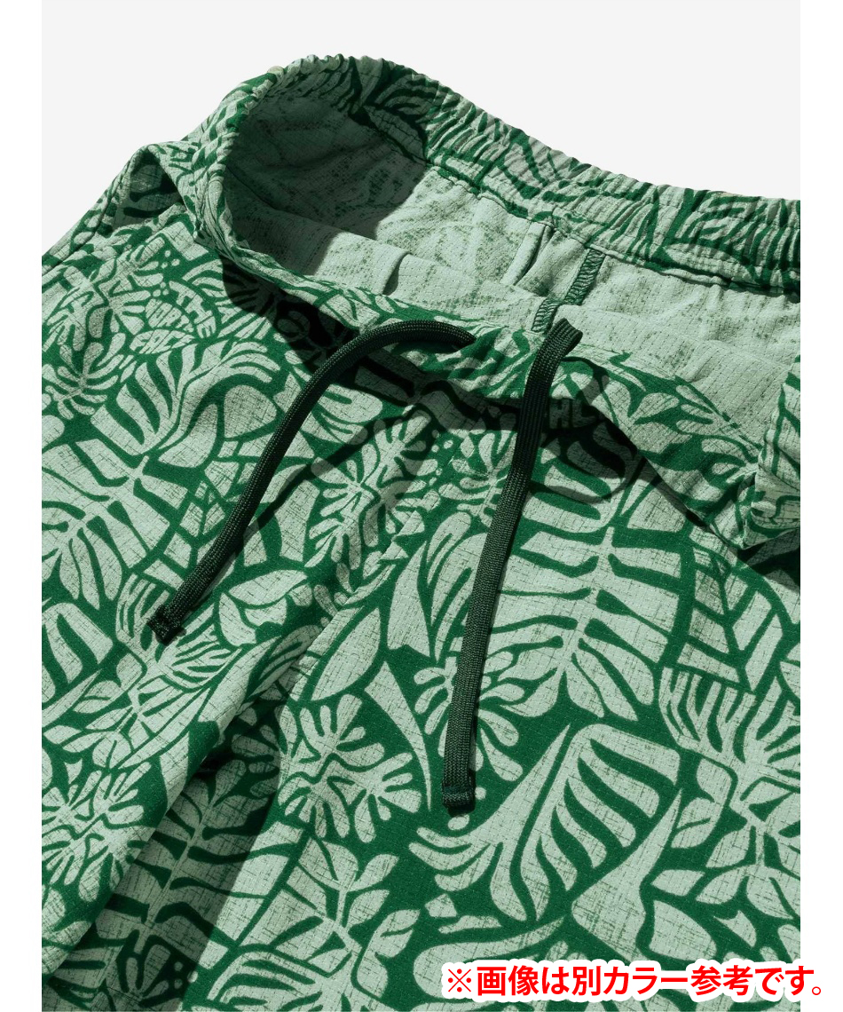 ザ・ノース・フェイス(THE NORTH FACE) ショートパンツ アロハベントショーツ Aloha Vent Short NBW42330 ...