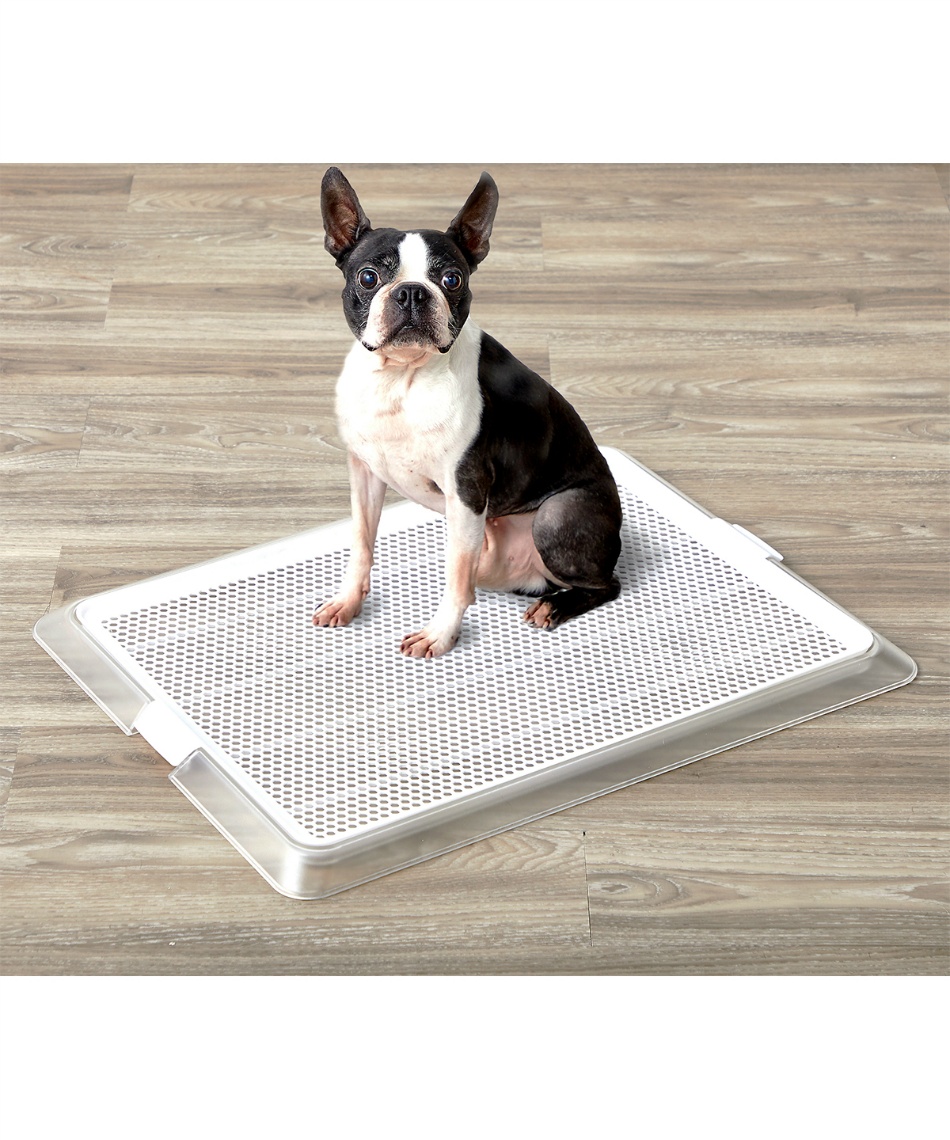 ボンビアルコン(bonbi) 動物用アクセサリー ペットレー クリアメッシュ M LP-372 【ご自宅配送限定】 | スポーツ用品ならヒマラヤオンラインストア【公式】