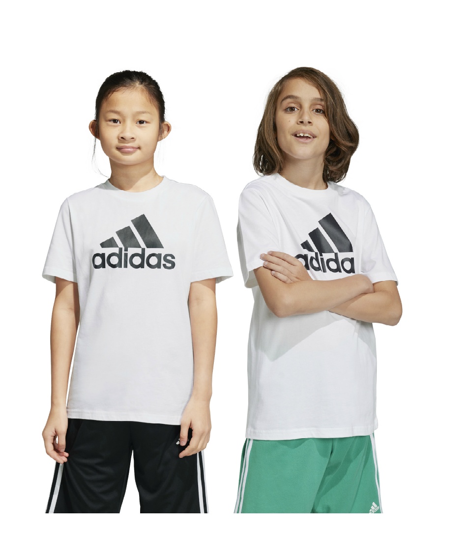 アディダス(adidas) Tシャツ 半袖 エッセンシャルズ ビッグロゴ コットン半袖Tシャツ IB1670 ECN71 | スポーツ用品なら ...