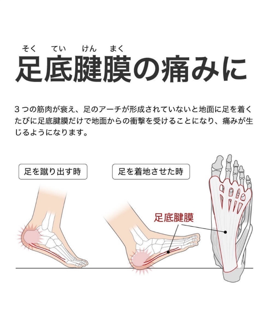 アクティバイタル(Activital) サッカーストッキング アクティバイタル PRO L-LL HRD1056 RE | スポーツ用品ならヒマラヤオンラインストア【公式】