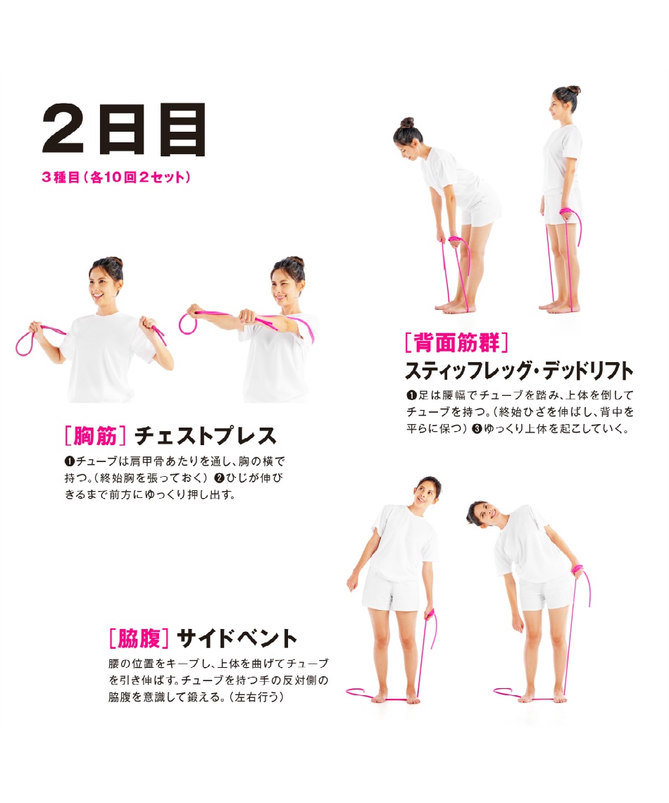 エルガム(erugam) トレーニングチューブ 健康のメニュー STANDARD 54191 | スポーツ用品ならヒマラヤオンラインストア【公式】