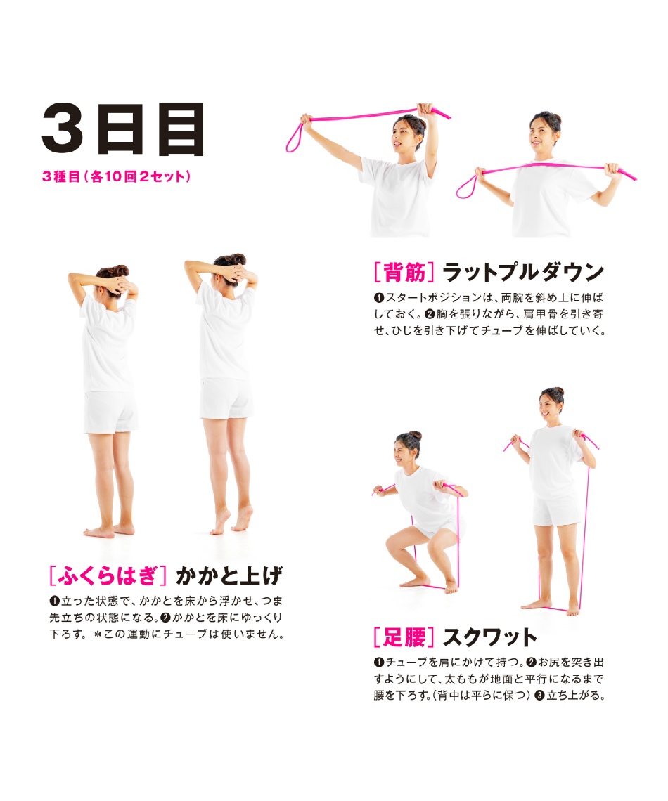 エルガム(erugam) トレーニングチューブ 健康のメニュー STANDARD 54191 | スポーツ用品ならヒマラヤオンラインストア【公式】