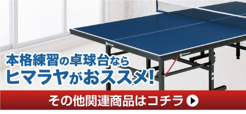 卓球台 国際規格サイズ セパレート式 18mm 組立有 VQ530509I01 【1年